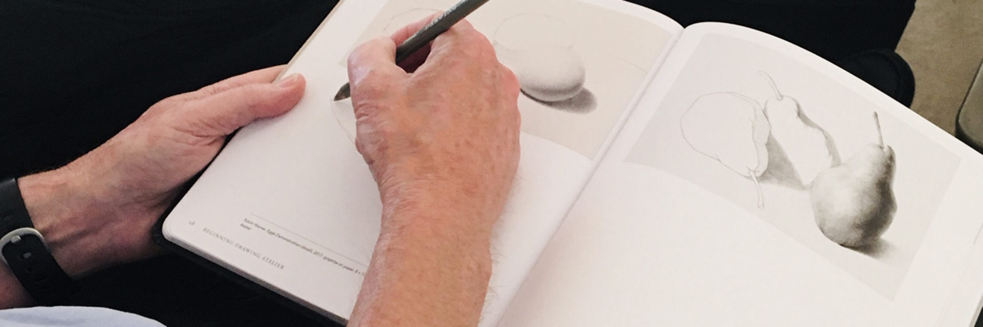 Drawing for Beginners - Bainbridge Island Museum of Art