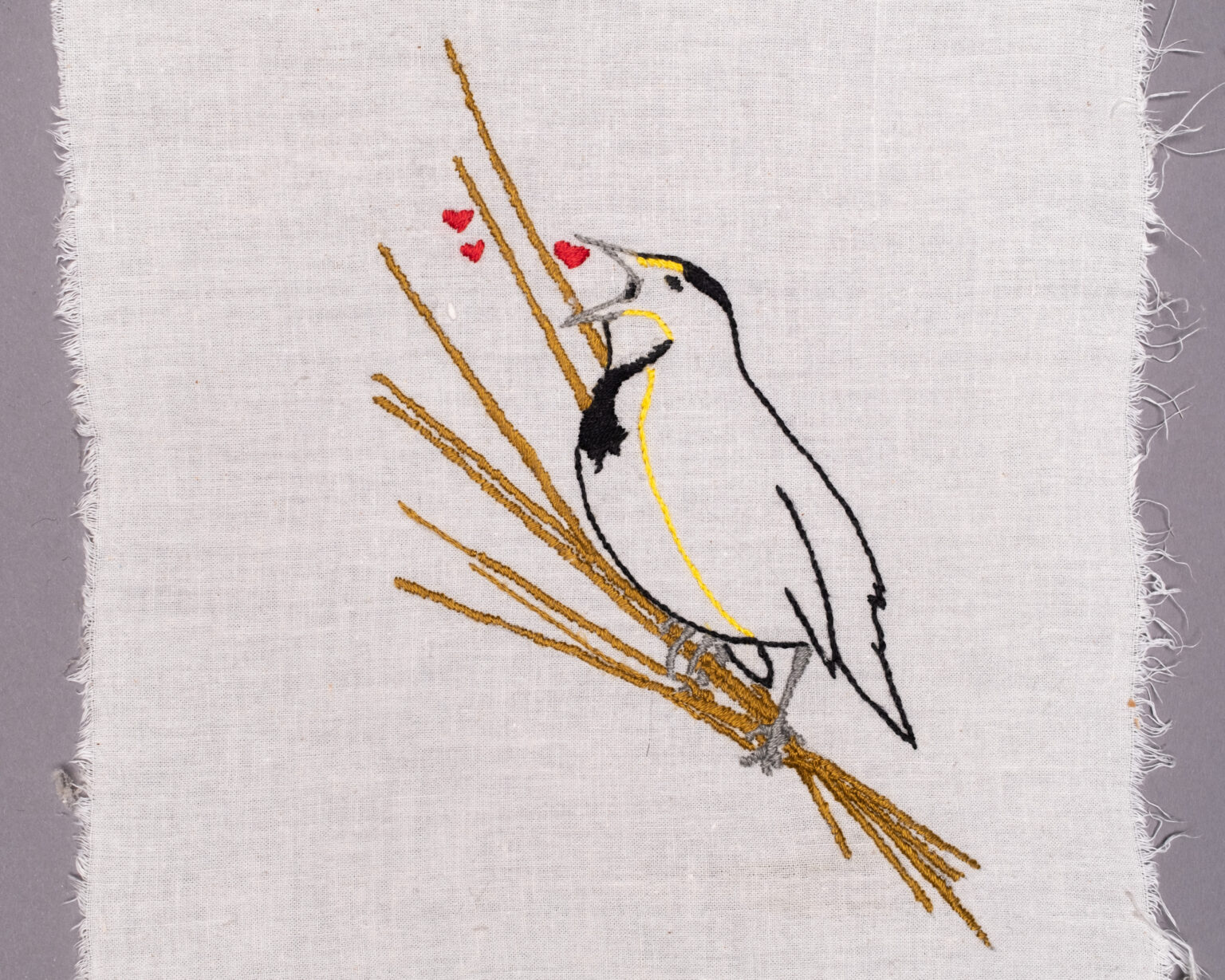 Elizabeth Donnally Davidson: The Poetry of Ordinary Things | Bainbridge ...