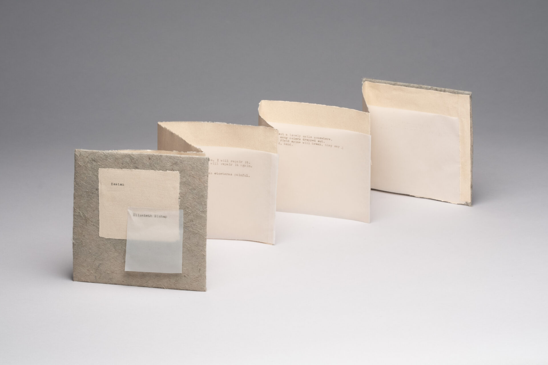 Artists’ Book Collection - Bainbridge Island Museum of Art