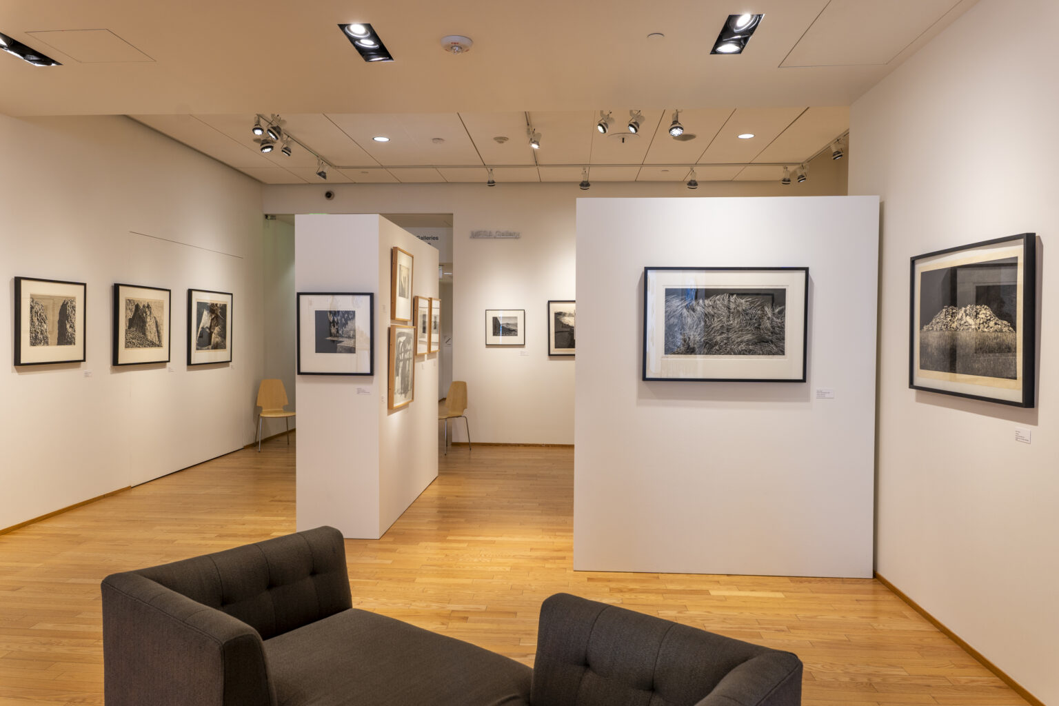 Gary Groves Retrospective - Bainbridge Island Museum of Art