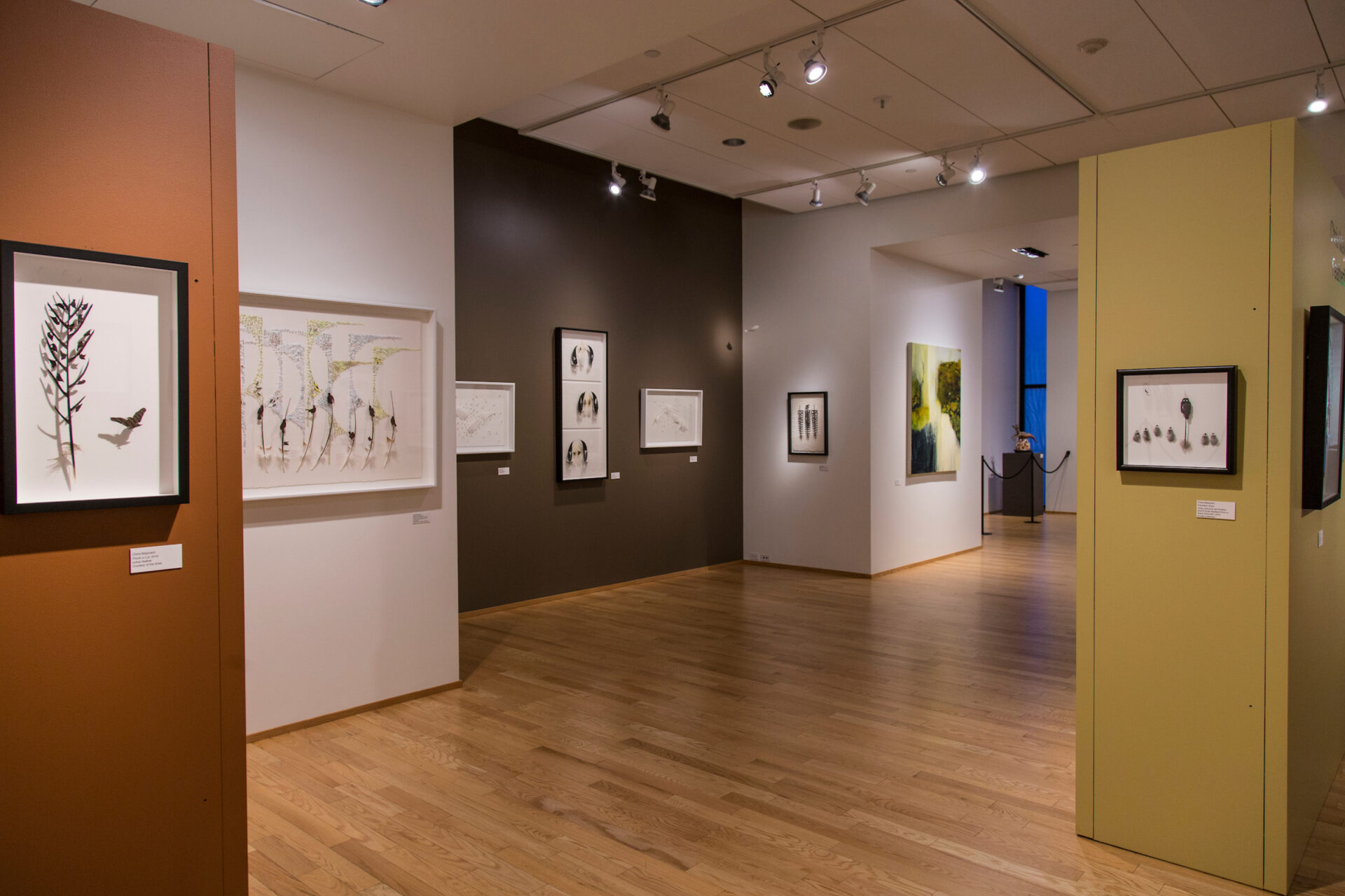 Chris Maynard: Featherfolio - Bainbridge Island Museum of Art