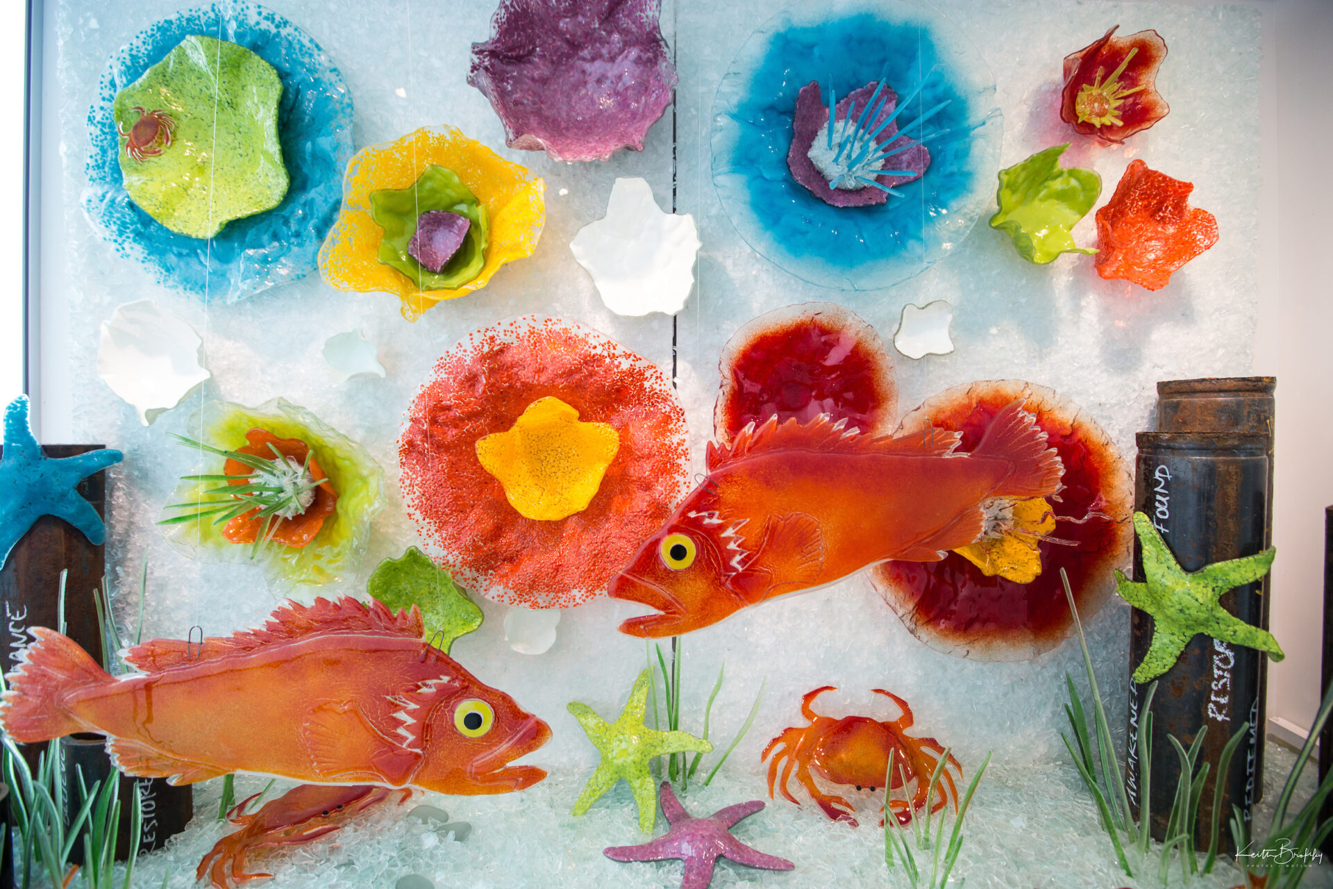 Lisa Stirrett: Beneath the Surface - Bainbridge Island Museum of Art