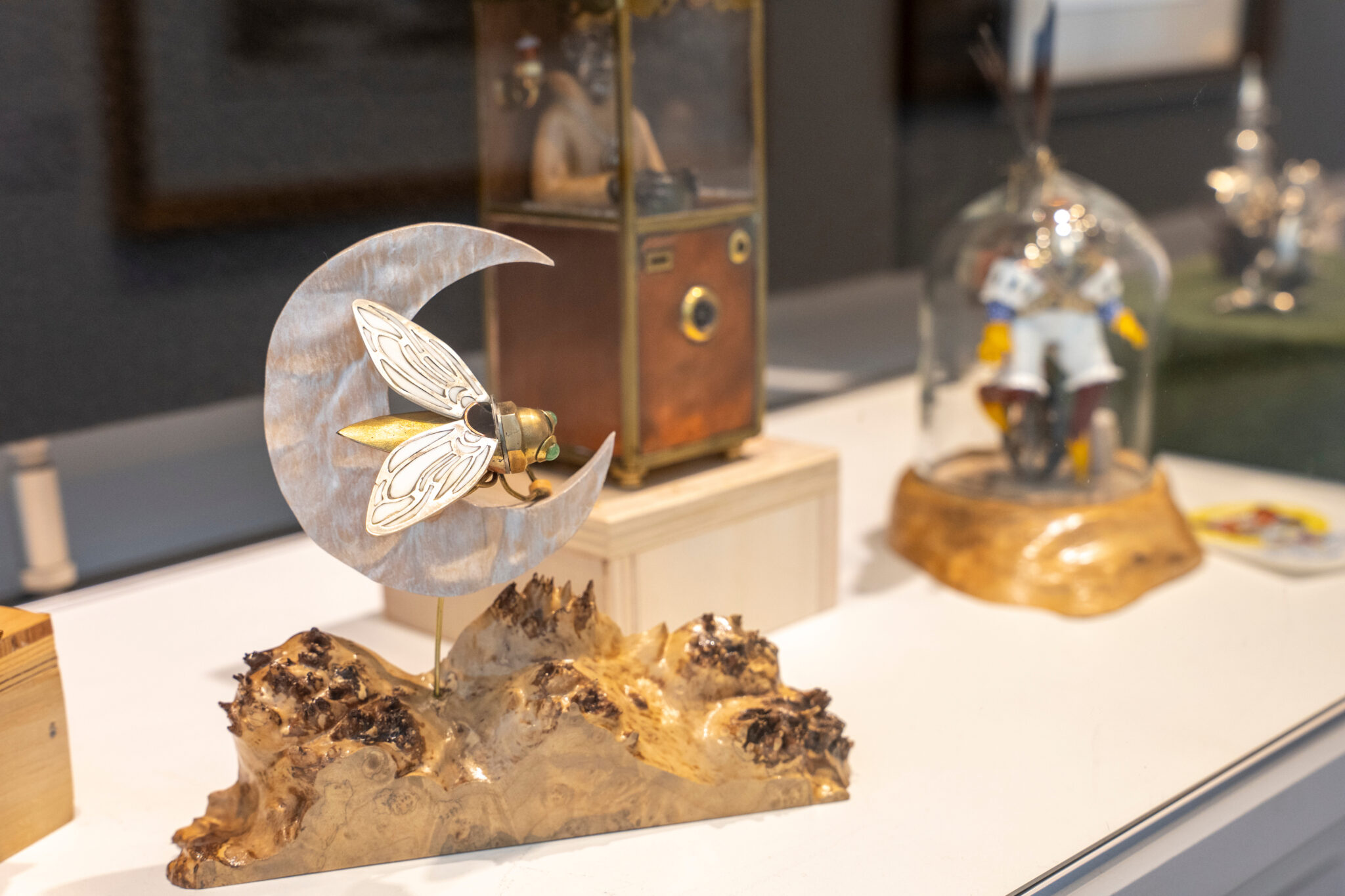 Denise Harris: Art Untethered - Bainbridge Island Museum of Art