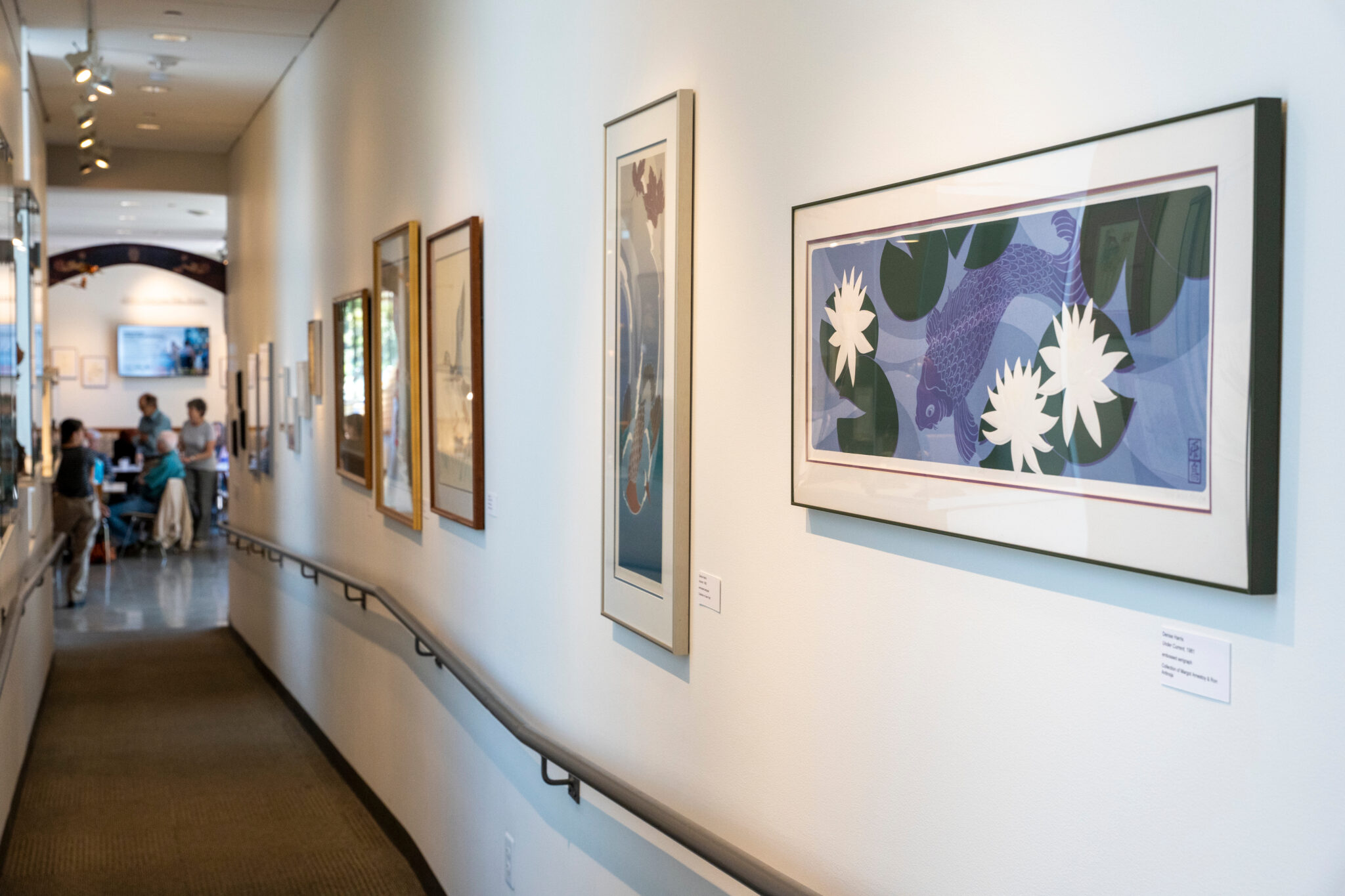 Denise Harris: Art Untethered - Bainbridge Island Museum of Art