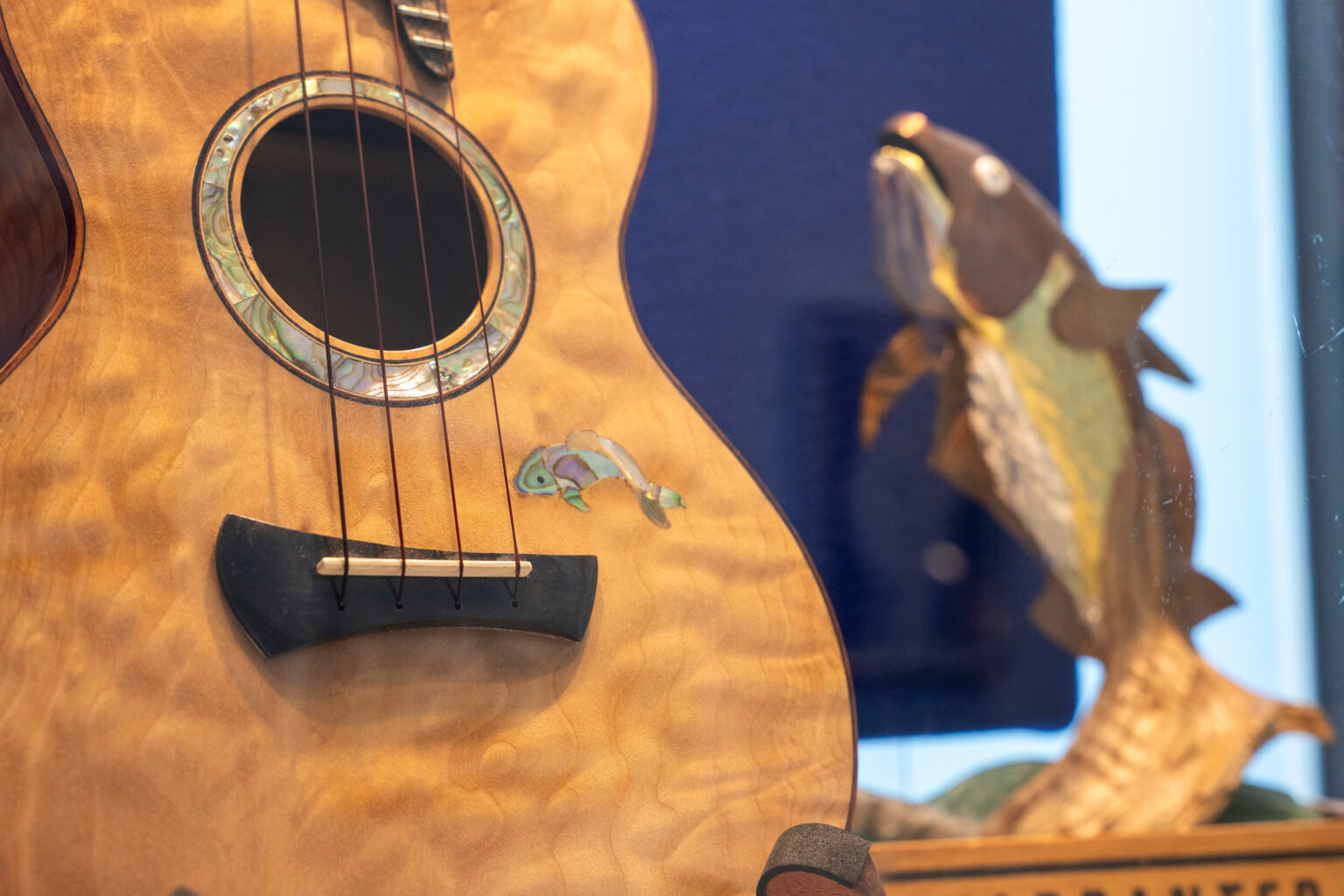 Denise Harris: Art Untethered - Bainbridge Island Museum of Art