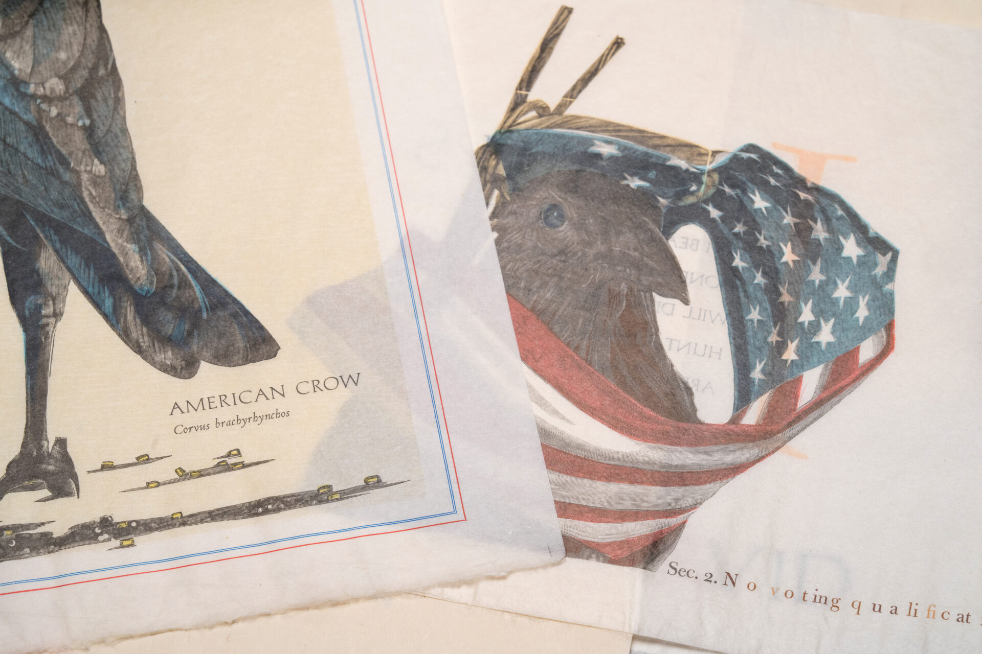 Power of the Presses - Bainbridge Island Museum of Art