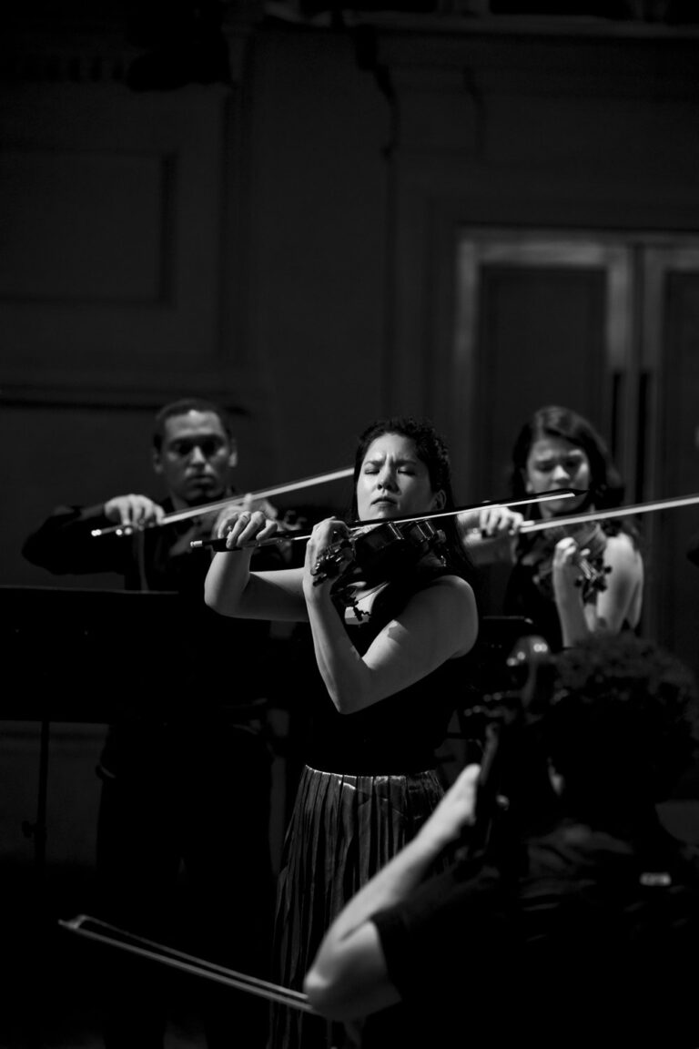 Batuque: Journey through Brazil - Bainbridge Island Museum of Art