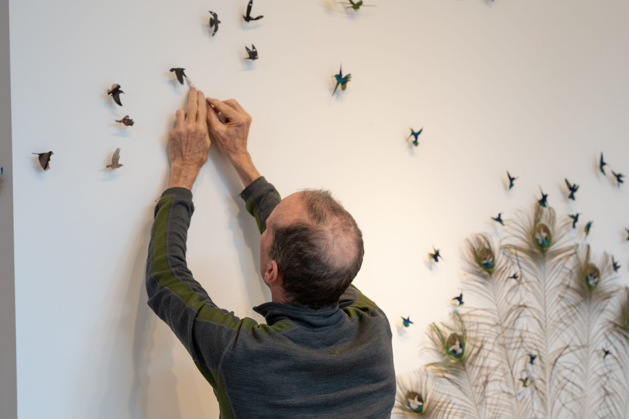 Chris Maynard: Featherfolio Encore | Bainbridge Island Museum of Art